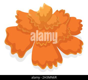 Belle fleur de cempasuchil ou de marigold en style de dessin animé et contours, sur fond blanc ...
