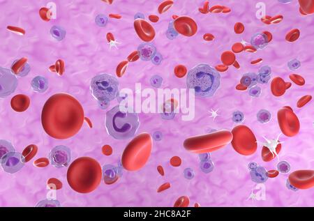 Basophile globules blancs et globules rouges, illustration.Les ...