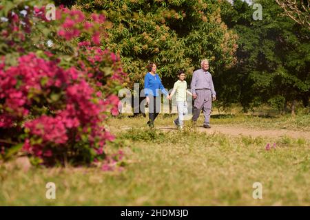 petit-fils, grand-père, excursion, petits-fils, grands-pères,excursions ...