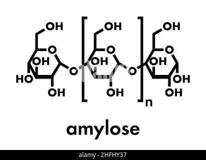 L'amylose polysaccharide polymère, la structure chimique. L'organe de l ...
