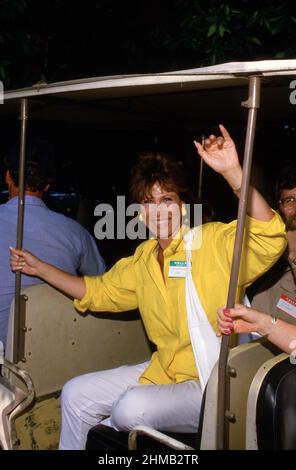 Michele Lee Circa années 80 crédit: Ralph Dominguez/MediaPunch Photo ...