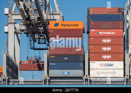 Le port maritime de Rotterdam, Maasvlakte, Hutchinson ECT Delta ...