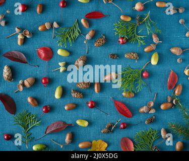 Petites pommes sauvages rouge vif parmi les feuilles jaunes en automne ...