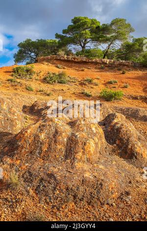 France, Hérault, Castelnau-de-Guers, paysage de terres rouges le long ...