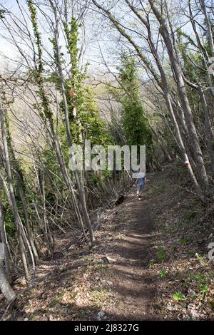 Une randonnée adolescente dans les Apennines. Il marche sur un chemin ...