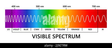 Spectre de la lumière visible, infrouge et ultraviolet. Longueur d'onde ...
