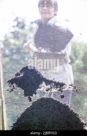 compost mûr prêt à l'emploi dans le jardin produit dans une composter ...