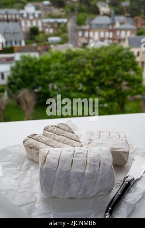 Fromages français fromage de vache neufchâtel au carré et cylindrique ...