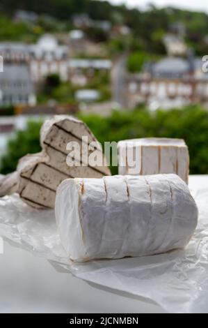 Fromages français fromage de vache neufchâtel au carré et cylindrique ...