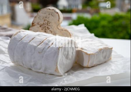 Fromages français fromage de vache neufchâtel au carré et cylindrique ...
