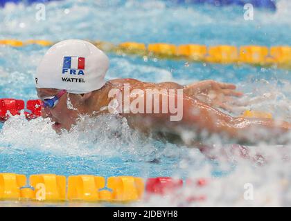 Marie Wattel, finale féminine 100 M freestyle lors des Championnats de natation d'élite ...