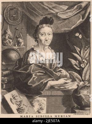 Portrait de Maria Sibylla Merian, Jacob Houbraken, dans ou après 1717 ...