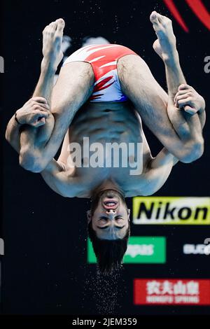 BOUYER Jules FRA3m Springboard Men Preliminary Diving FINA 19th ...