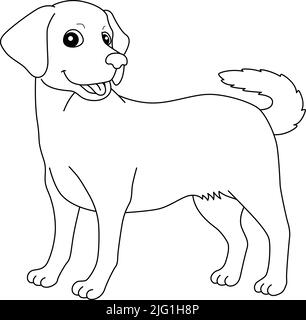 Illustration de la page de coloriage du chien Labrador Retriever Image ...