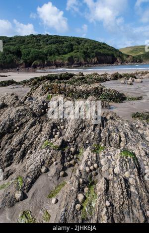 Sandy Cove Devon dans le sud du Devon, Angleterre, Devon, côte ...