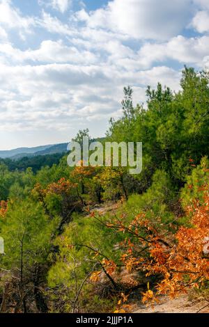 Le parc national de la forêt de Dadia-Lefkimi-Soufli, une réserve ...