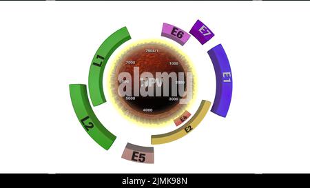 Le virus du papillome humain, un virus qui cause des verrues, certaines ...