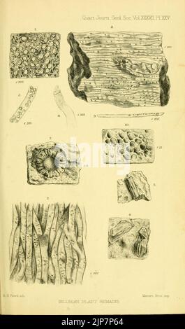 Le, trimestriel, Journal, de, le, géologique, Société, of, Londres, v ...