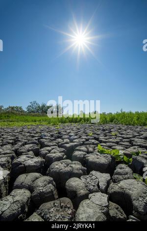Le fond d'un étang est fortement séché, le parc national du lac ...