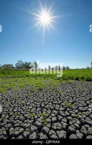 Le fond d'un étang est fortement séché, le parc national du lac ...