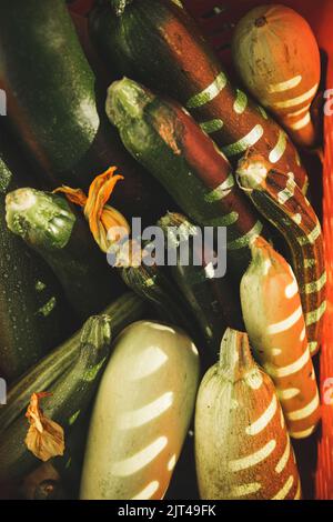 Courgettes de couleur et de forme différentes dans un panier avec un ...