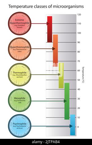 Diagramme de la classification des micro-organismes par température de ...