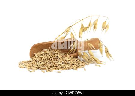 Grains d'avoine avec des coques ou des feuilles en bois et gruaux d ...