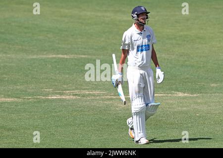 Trent Copeland of the Blues marche après avoir perdu son cricket lors ...