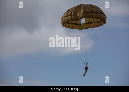 Un groupe de parachutistes américains et européens descend dans la zone ...