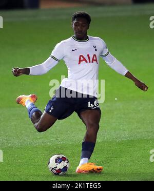 Malachi Fagan-Walcott de Tottenham Hotspur pendant la phase du groupe ...