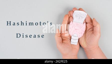 Thyroïdite d'Hashimoto, maladie lymphocytaire chronique, tenue d'un ...