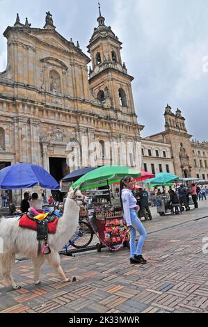 La culture colombienne colorée et éclectique est émeraude dans l ...