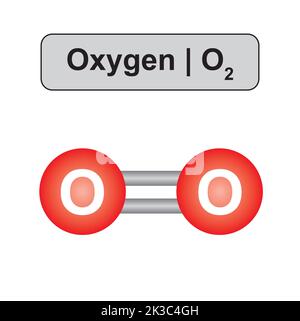 Modèle moléculaire de la molécule d'oxygène (O2). Illustration ...