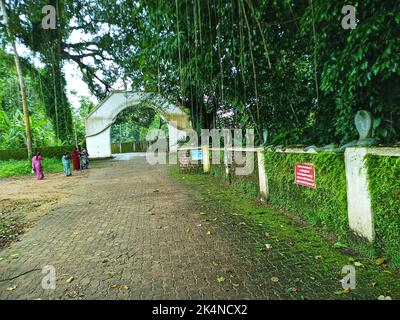 Pambummekattu mana,Pammumekattu temple,Pambummekattu temple sarppakavu ...
