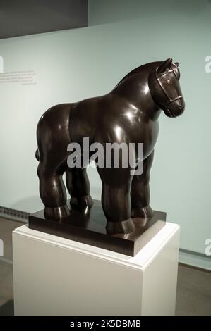 Cheval avec bride, bronze, 2013. Exposition « Fernando Botero ...