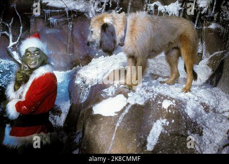 CHIEN, CARREY, COMMENT LE GRINCH A VOLÉ NOËL, 2000 Photo Stock - Alamy