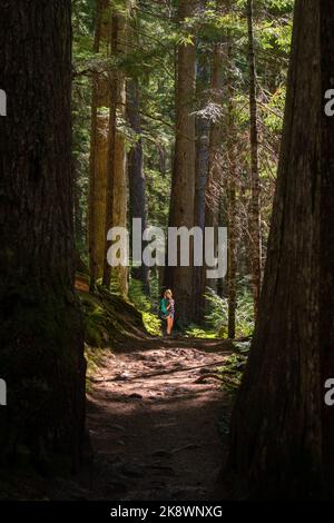 Femme qui fait de la randonnée dans le parc provincial Garibaldi le ...