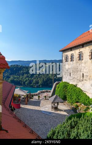 La terrasse du café du château de Bled donnant sur le lac et l'île de ...