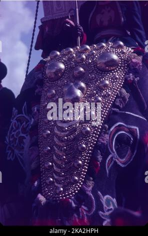 Mysur Dasara:- le Dussehra est célébré royalement à Mysore, Karnataka ...