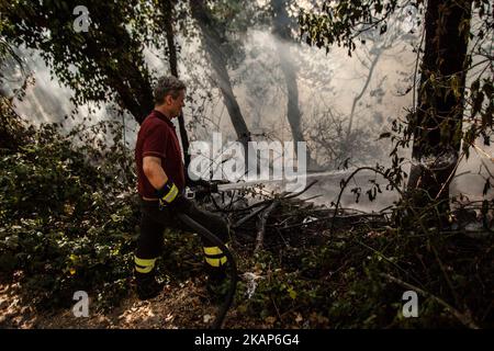 Les incendies de forêt de Naples se sont rapidement propagé sur le ...