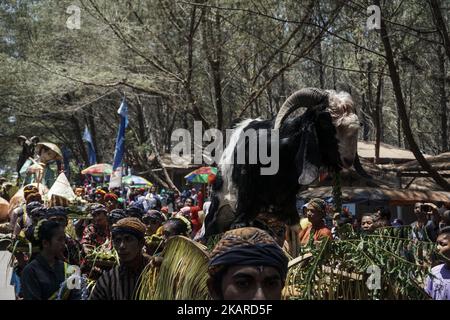 Les Javanais suivent la cérémonie rituelle du labuhan 1st Suro ...