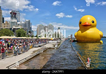 Le plus grand canard de caoutchouc au monde est arrivé à Toronto, en ...