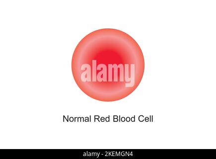 Conception scientifique de globules rouges normaux. Symboles colorés ...