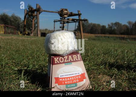 09.10.2012., Srijemska Mitrovica, Serbie - le fromage le plus cher est ...