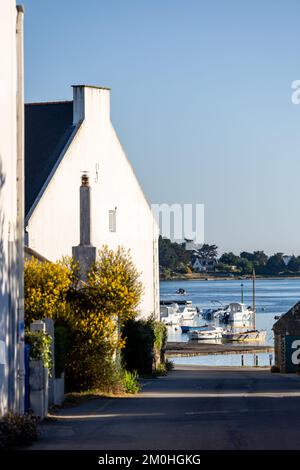 France, Morbihan, Sarzeau, la pointe et le port de Logeo (vue aérienne ...