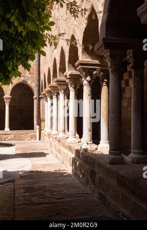 Cloître de notre-Dame et de la cathédrale Saint-Léonce de Fréjus (Var ...