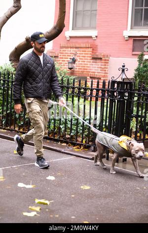 Justin Theroux marche Kuma lors D'Une journée de pluie à New York -EN ...