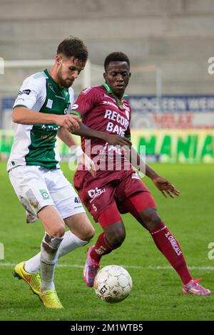20141025 - WAREGEM, BELGIQUE : le combat de Thibault Van Acker de ...