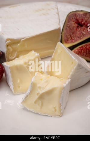 Collection de fromages, fromage français brie de Meaux de la région ...