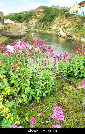 En regardant vers l'ouest en haut de Staithes Beck (rivière) dans le ...